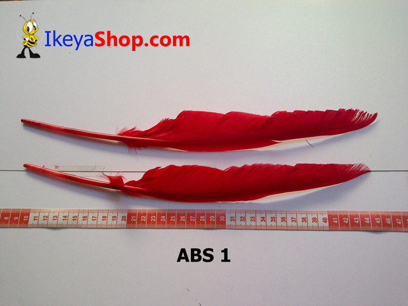 Bulu Angsa Besar Merah (ABS 1) | IkeyaShop.com